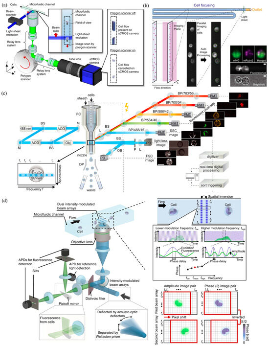Recent Developments (After 2020) in Flow Cytometry Worldwide and Within China