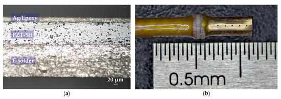 High-Frequency 64-Element Ring-Annular Array Transducer: Development ...