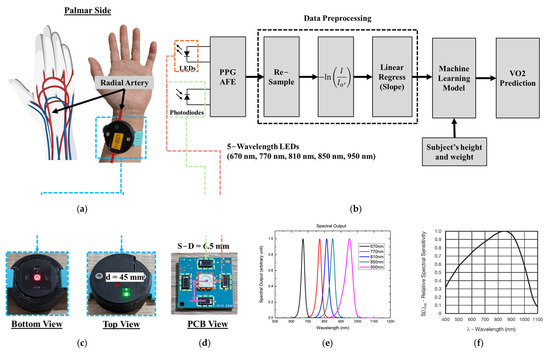 Machine Learning-Based VO2 Estimation Using a Wearable Multiwavelength ...