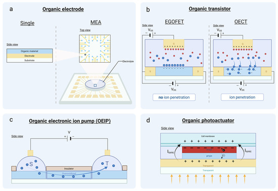 Organic Bioelectronics in Microphysiological Systems: Bridging the Gap ...