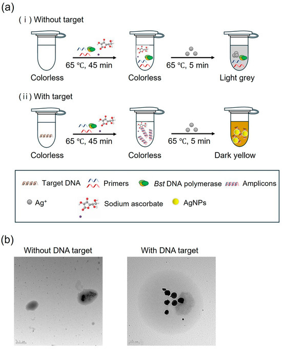 One-Pot Colorimetric Nucleic Acid Test Mediated by Silver Nanoparticles ...