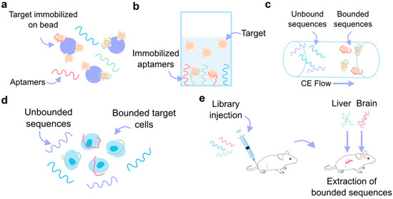 Aptamer and Oligonucleotide-Based Biosensors for Health Applications