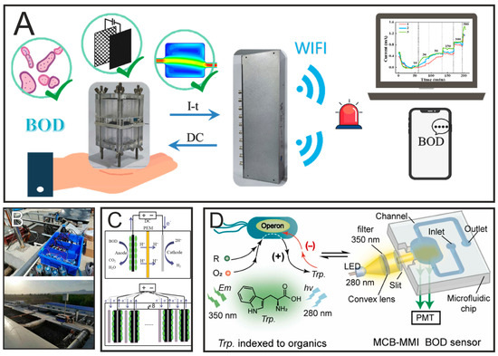 Whole Cells of Microorganisms—A Powerful Bioanalytical Tool for ...