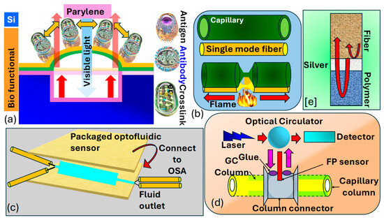 Comprehensive Analysis of Advancement in Optical Biosensing Techniques ...