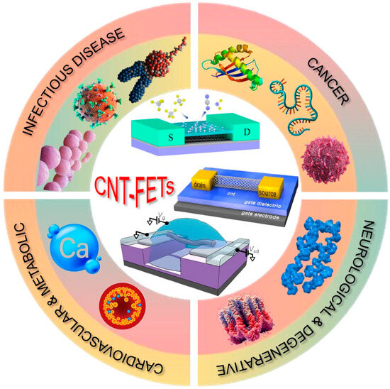 Carbon Nanotube-Based Field-Effect Transistor Biosensors for Biomedical ...