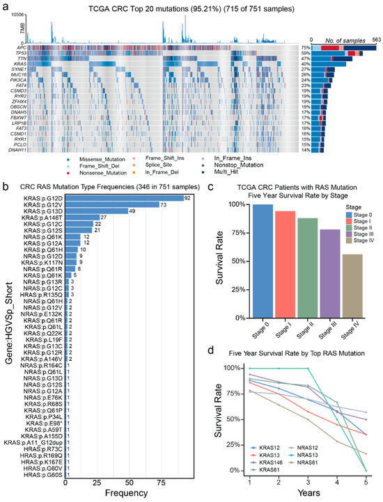Analysis of Colorectal Cancer Gene Mutations and Application of Long ...