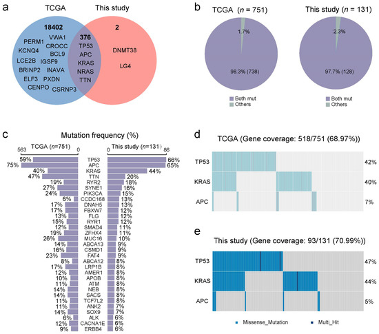 Analysis of Colorectal Cancer Gene Mutations and Application of Long ...