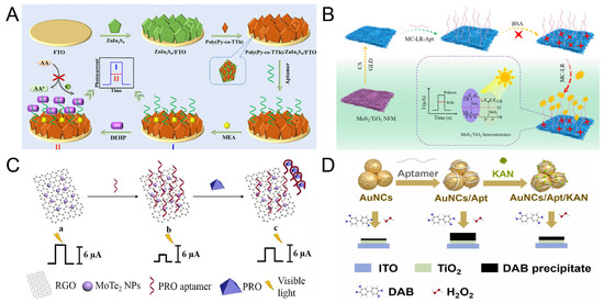 Photoactivatable Aptamer-Based Biosensors for Point-of-Care Testing ...