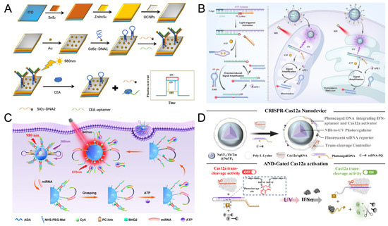 Photoactivatable Aptamer-Based Biosensors for Point-of-Care Testing ...
