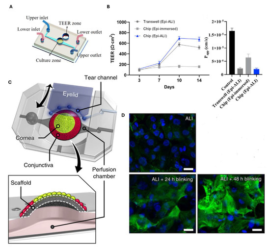 Biological Barrier Models-on-Chips: A Novel Tool for Disease Research ...
