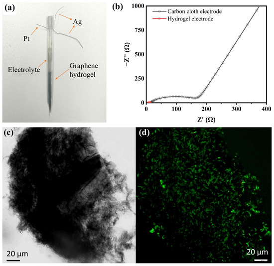 A Bioelectric Active Hydrogel Sensor for Trace Detection of Heavy Metal ...