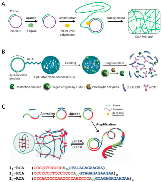 Stimuli-Responsive DNA Hydrogel Design Strategies for Biomedical ...
