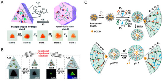 Stimuli-Responsive DNA Hydrogel Design Strategies for Biomedical ...