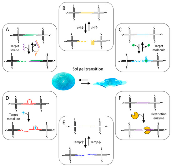 Stimuli-Responsive DNA Hydrogel Design Strategies for Biomedical ...