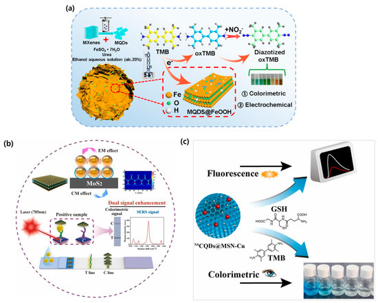 Colorimetric Biosensors: Advancements in Nanomaterials and Cutting-Edge ...