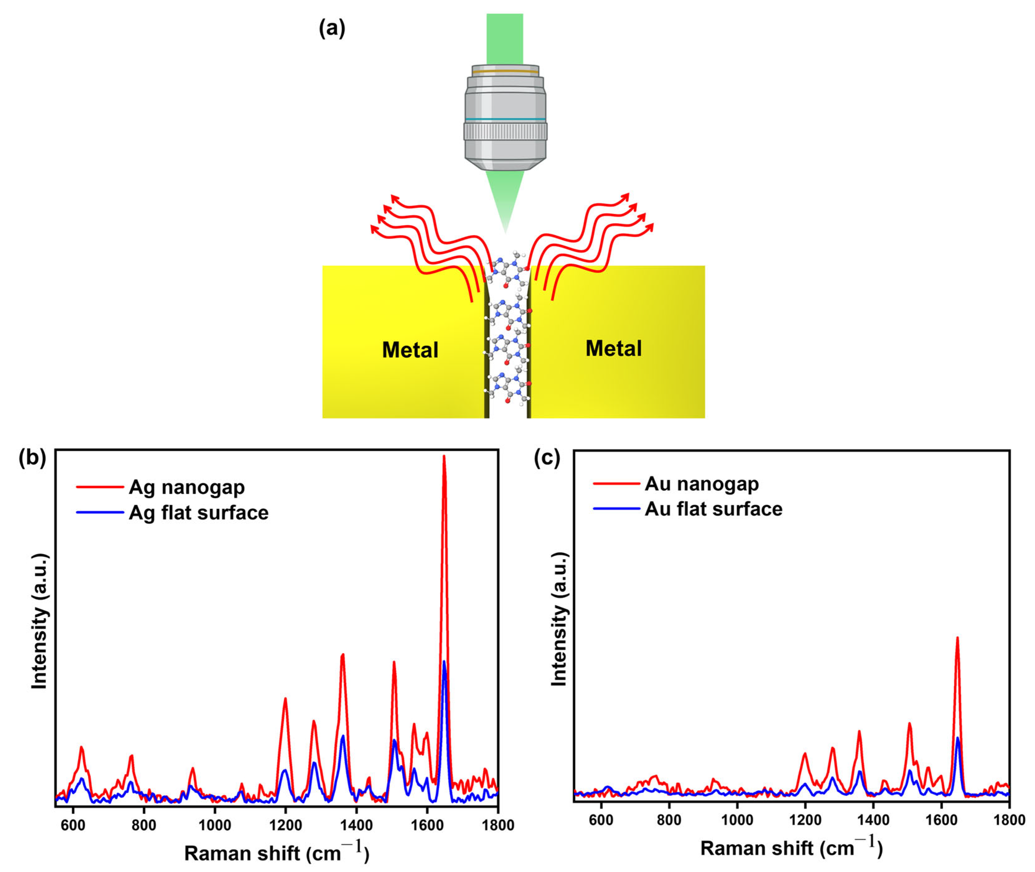 Large-Area Nanogap Platforms for Surface-Enhanced Raman Spectroscopy Toward Sensing Applications ...