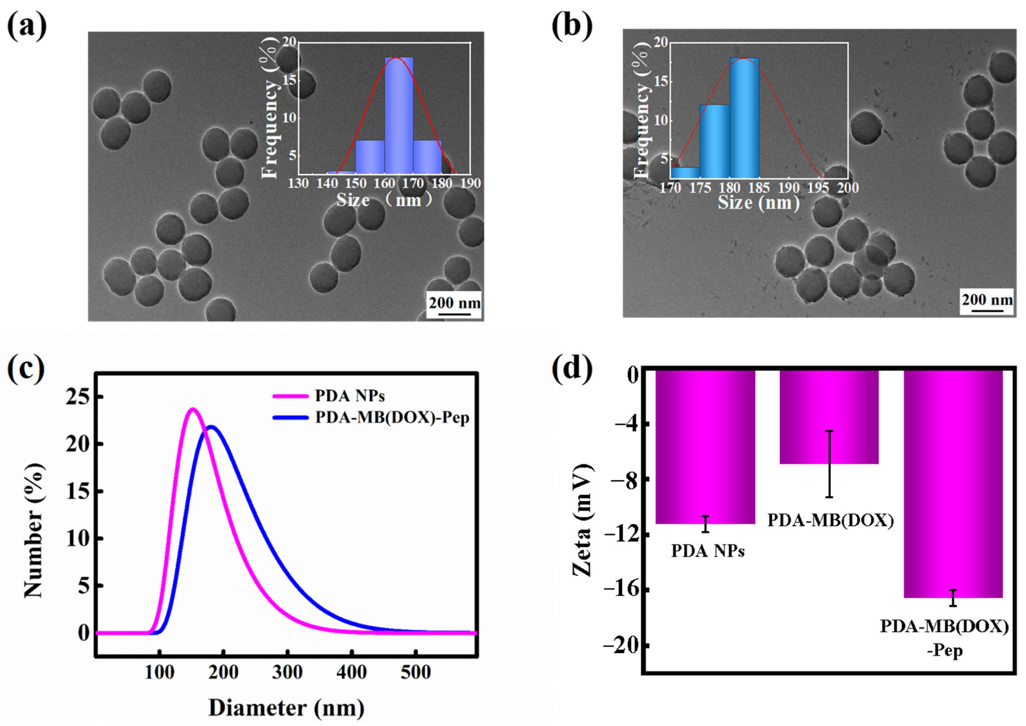 A Smart Nanoprobe for Visually Investigating the Activation Effect of ...