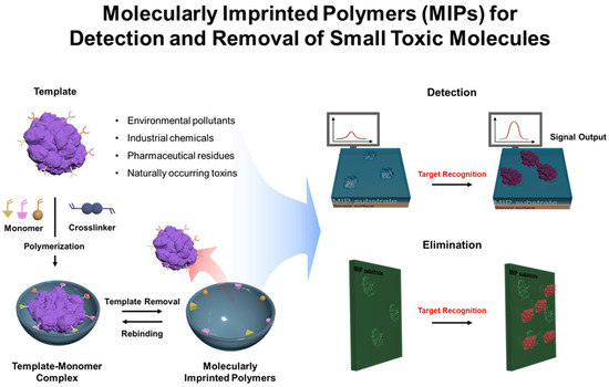 Small Toxic Molecule Detection and Elimination Using Molecularly Imprinted Polymers (MIPs)