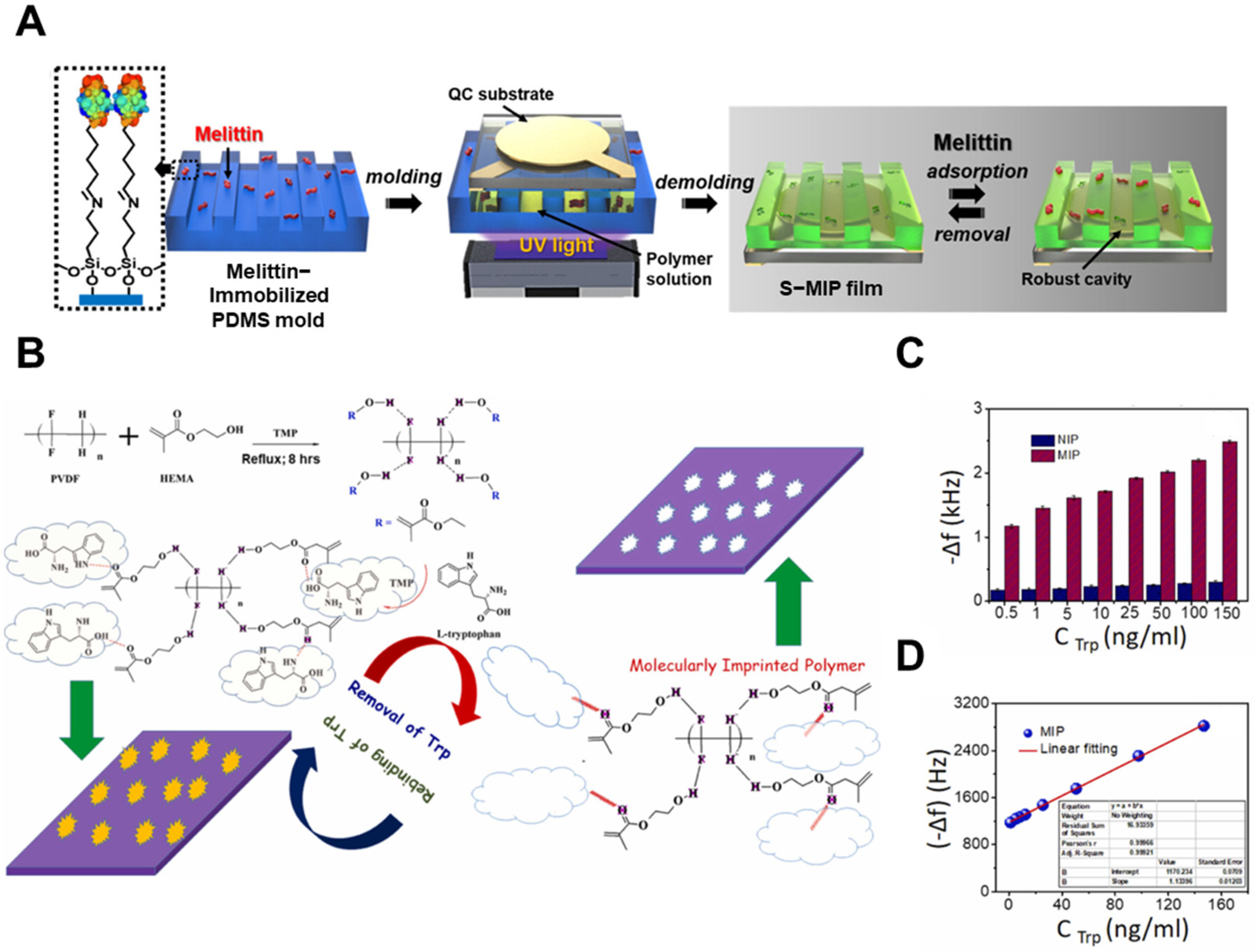 Small Toxic Molecule Detection and Elimination Using Molecularly Imprinted Polymers (MIPs)