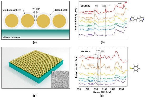Plasmonic and Dielectric Metasurfaces for Enhanced Spectroscopic Techniques