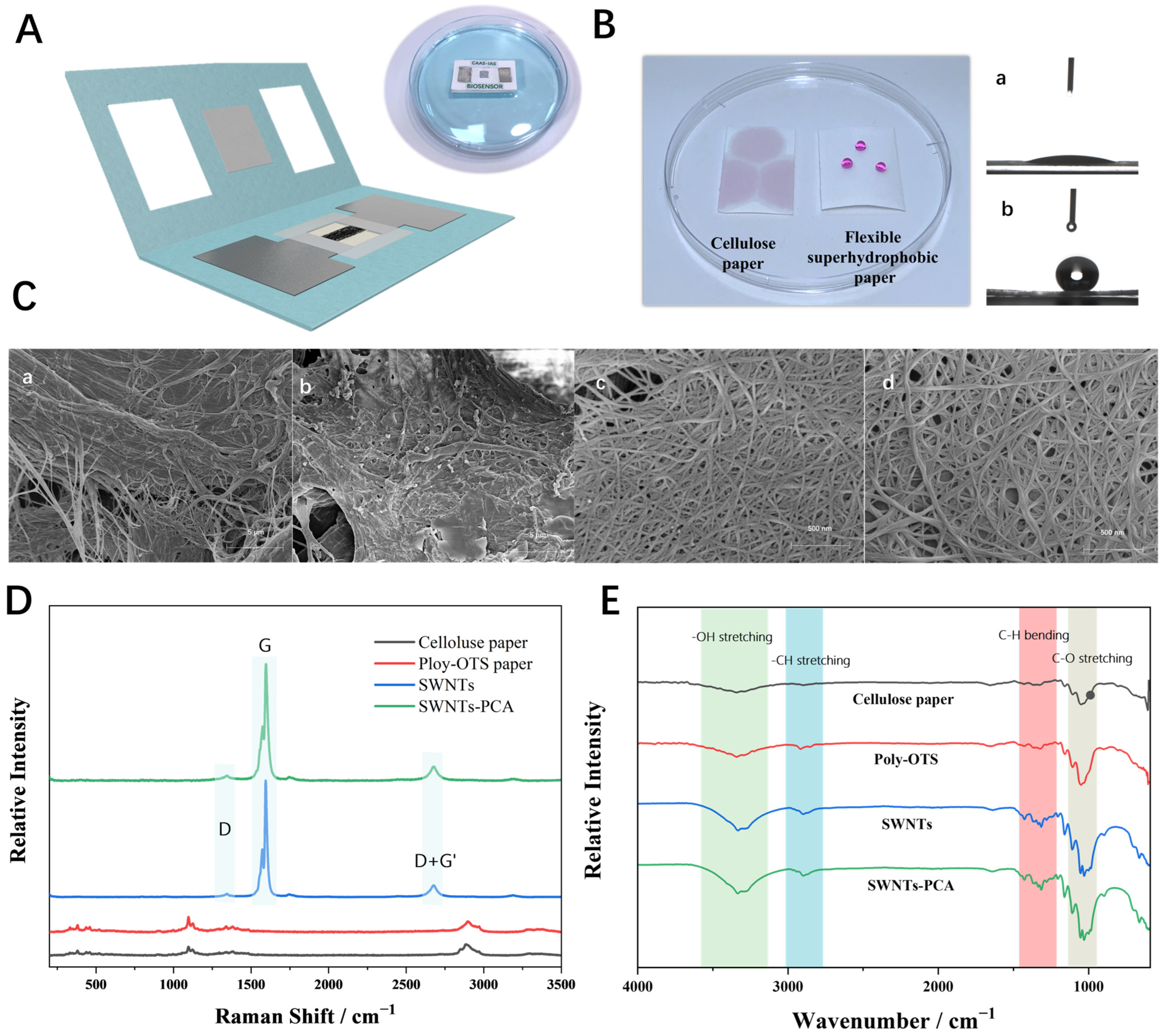 Flexible Hydrophobic Paper-Based Microfluidic Field-Effect Biosensor ...