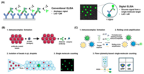 Enhancing ELISA Sensitivity: From Surface Engineering to Synthetic Biology