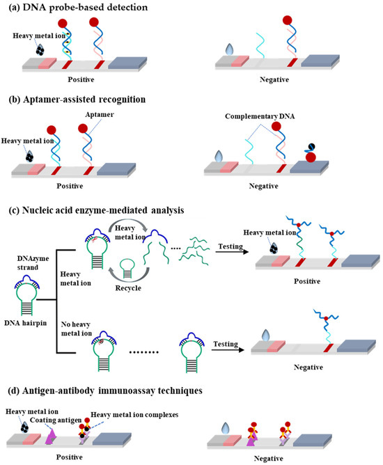 Heavy Metal Ion Detection Based on Lateral Flow Assay Technology ...