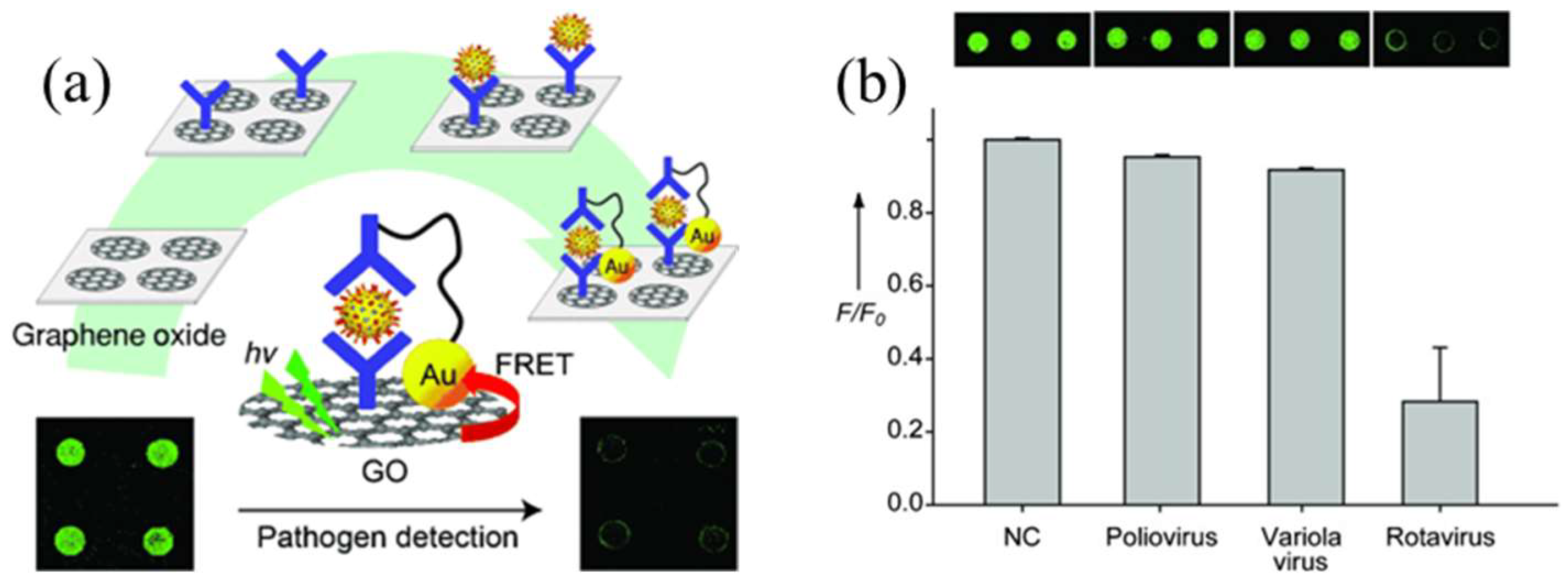 Expanding Horizons in Advancements of FRET Biosensing Technologies