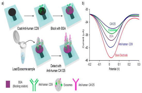 Cutting-Edge Sensor Technologies for Exosome Detection: Reviewing Role of Antibodies and Aptamers