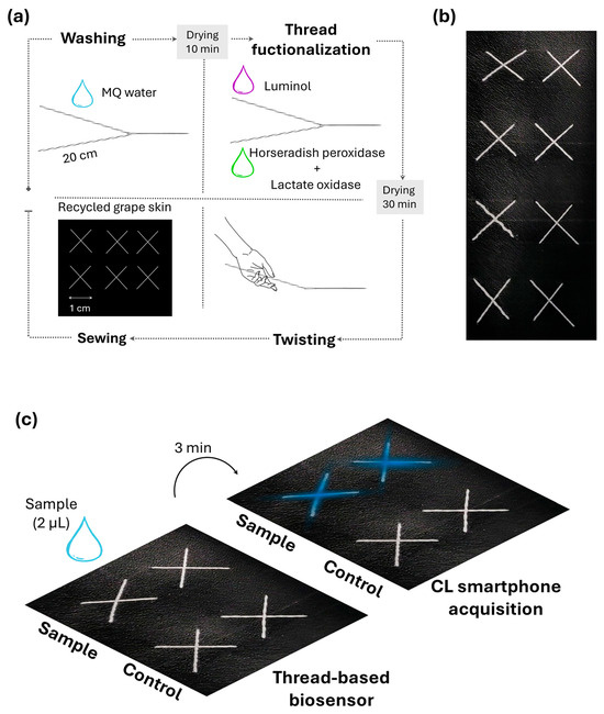 All-in-One Sustainable Thread Biosensor for Chemiluminescence ...