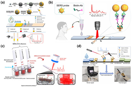 SERS-Driven Evolution of Lateral and Vertical Flow Assays in Medical ...