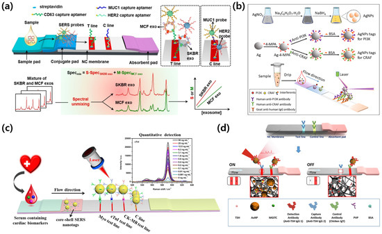 SERS-Driven Evolution of Lateral and Vertical Flow Assays in Medical ...