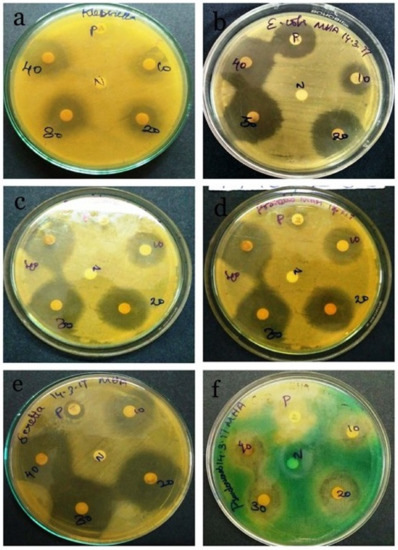 BioTech | An Open Access Journal from MDPI