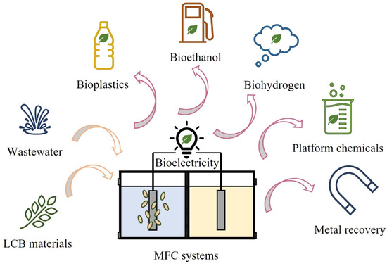 BioTech | An Open Access Journal from MDPI