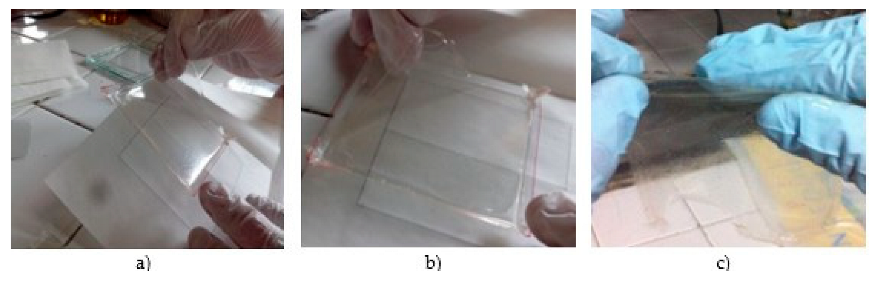 Development and Evaluation of Chitosan-Based Food Coatings for Exotic ...