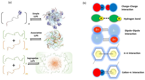 Biomolecular Liquid–Liquid Phase Separation for Biotechnology