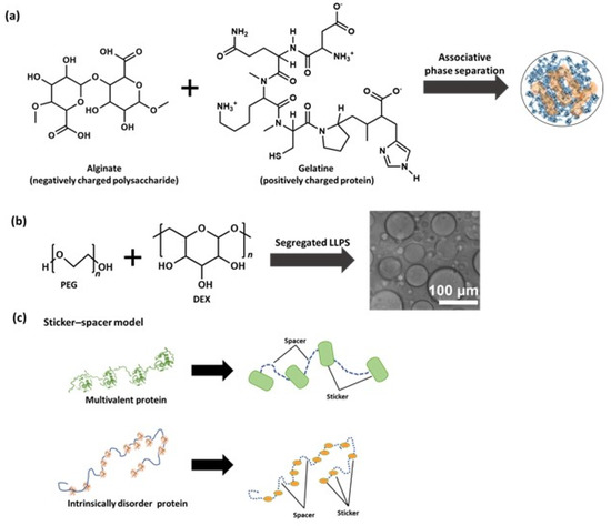Biomolecular Liquid–Liquid Phase Separation for Biotechnology