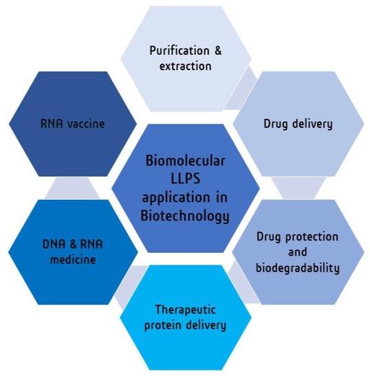 Biomolecular Liquid–Liquid Phase Separation for Biotechnology