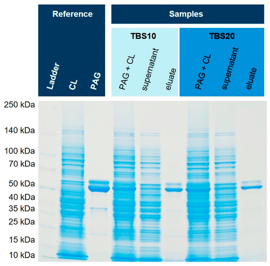 Efficient Purification of Polyhistidine-Tagged Recombinant Proteins ...