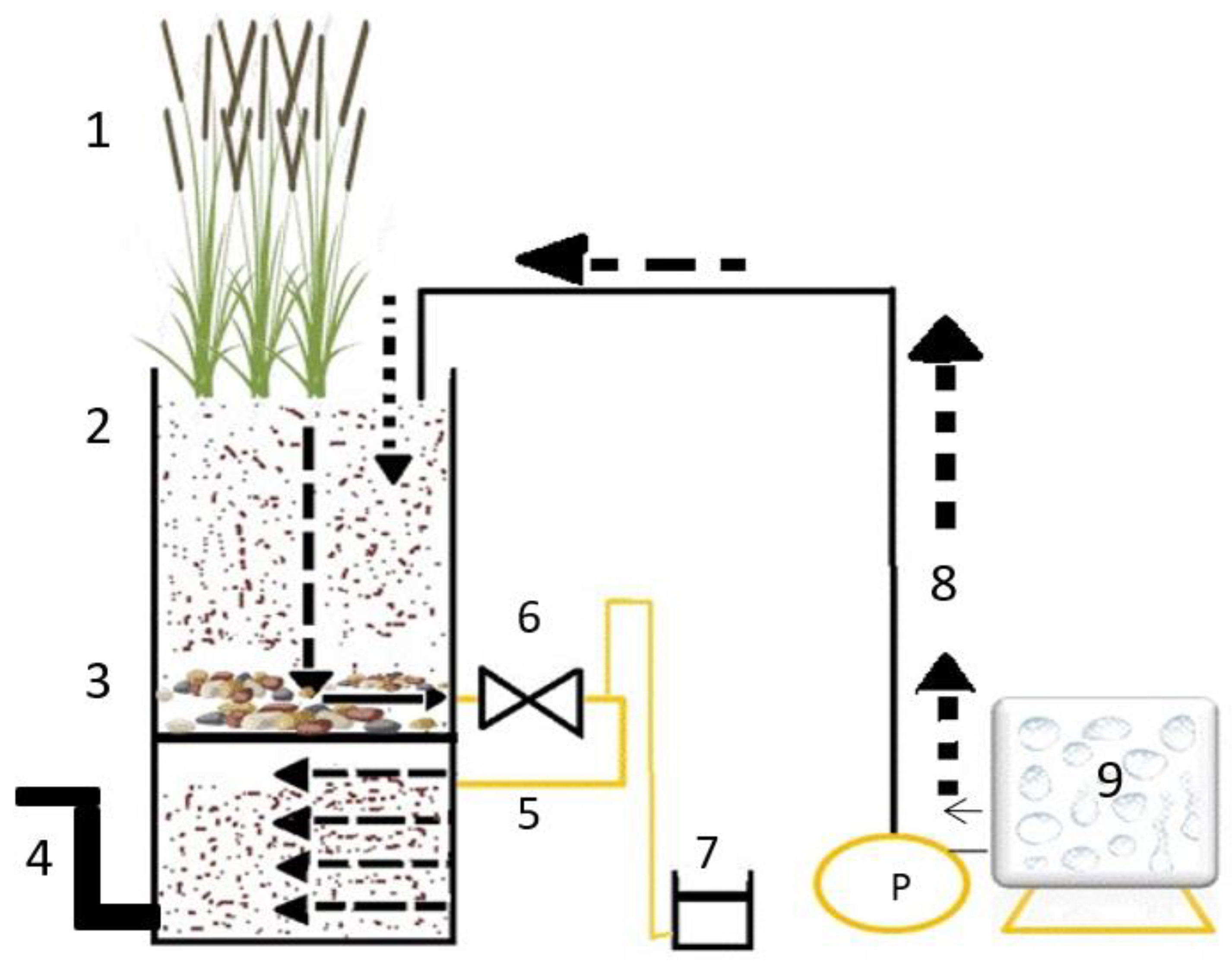 Bioremediation of Organic Pollutants in Soil–Water System: A Review