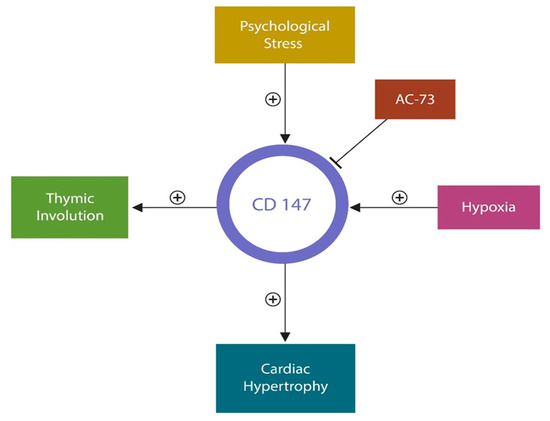 Recent Developments in Protein Lactylation in PTSD and CVD: Novel ...