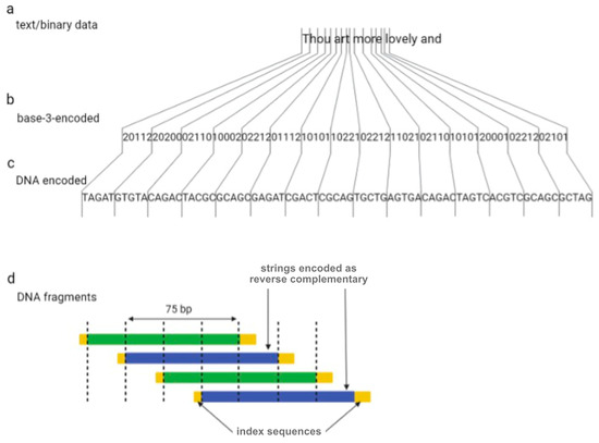DNA Data Storage