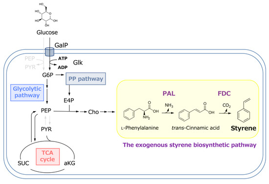 Styrene Production in Genetically Engineered Escherichia coli in a Two ...