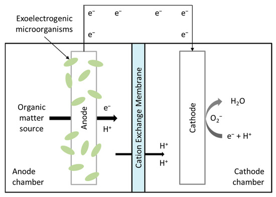 Recent Advances in Scaling up Bioelectrochemical Systems: A Review