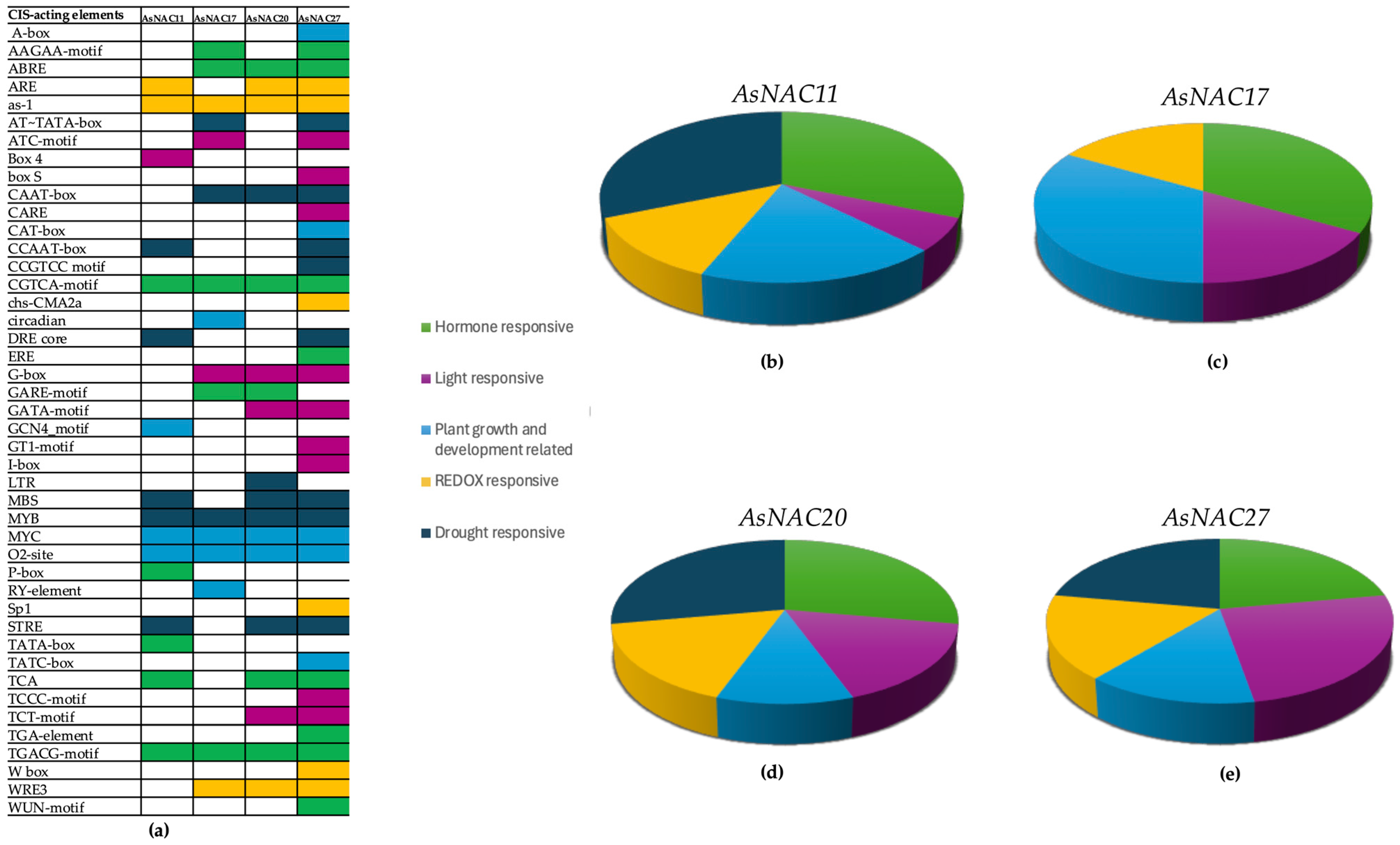 AsNAC Genes: Response to High Mercury Concentrations in Allium sativum ...