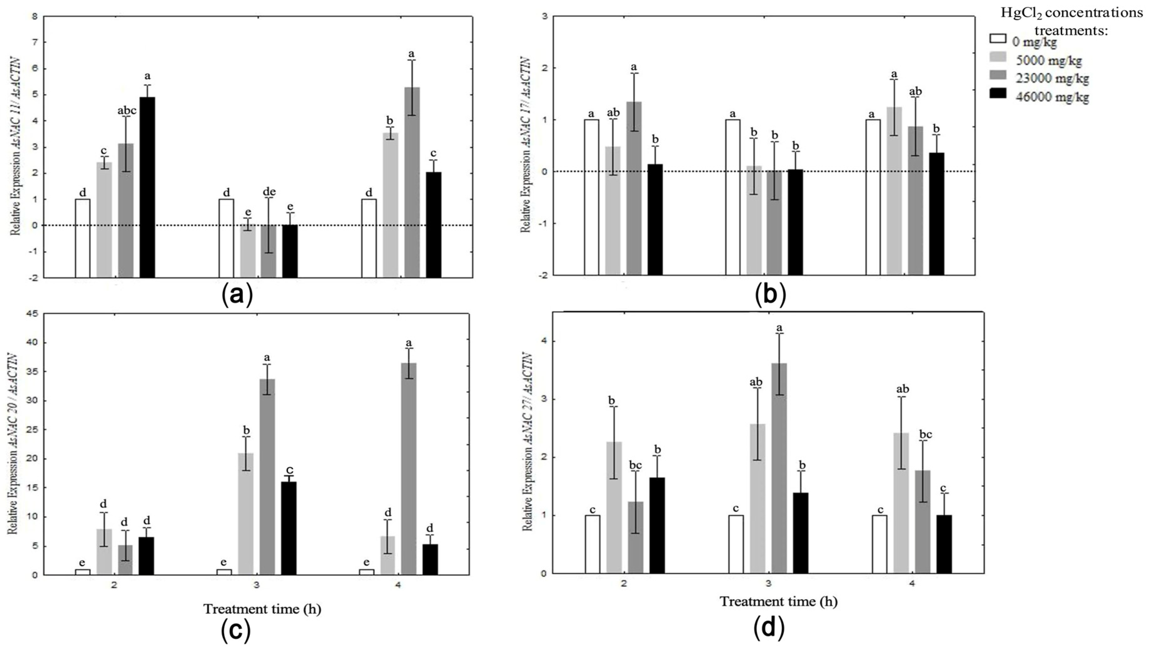 AsNAC Genes: Response to High Mercury Concentrations in Allium sativum ...