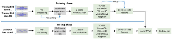 Acoustic Classification of Bird Species Using an Early Fusion of Deep ...