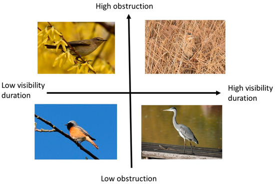 A Bird in the Hand Is Worth Two in the Bush: Bird Visibility as a ...