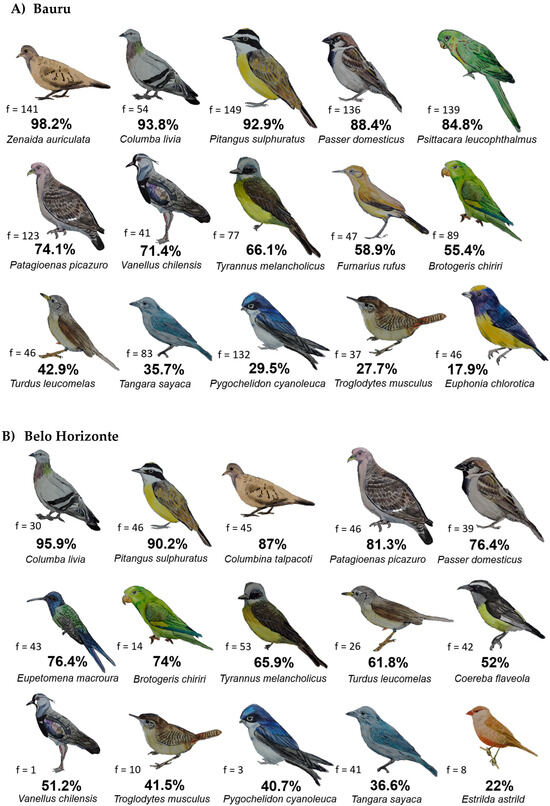 Birds, Free Full-Text👨 Descubra o universo das apostas online com ... Birds, Free Full-Text👨 Descubra o universo das apostas online com ...