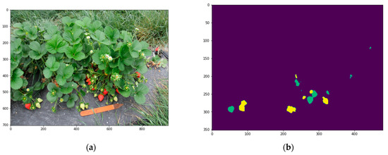 Information System for Detecting Strawberry Fruit Locations and ...